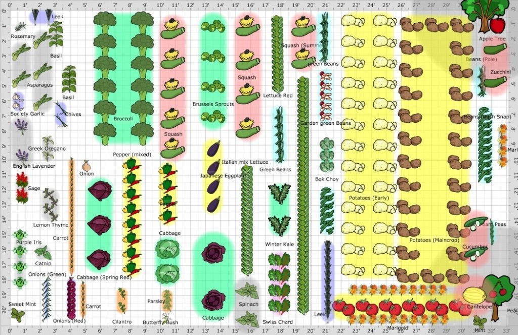 Comment réaliser son plan de potager bio