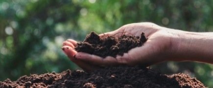 Bemesting van de tuin: 3 natuurlijke methodes