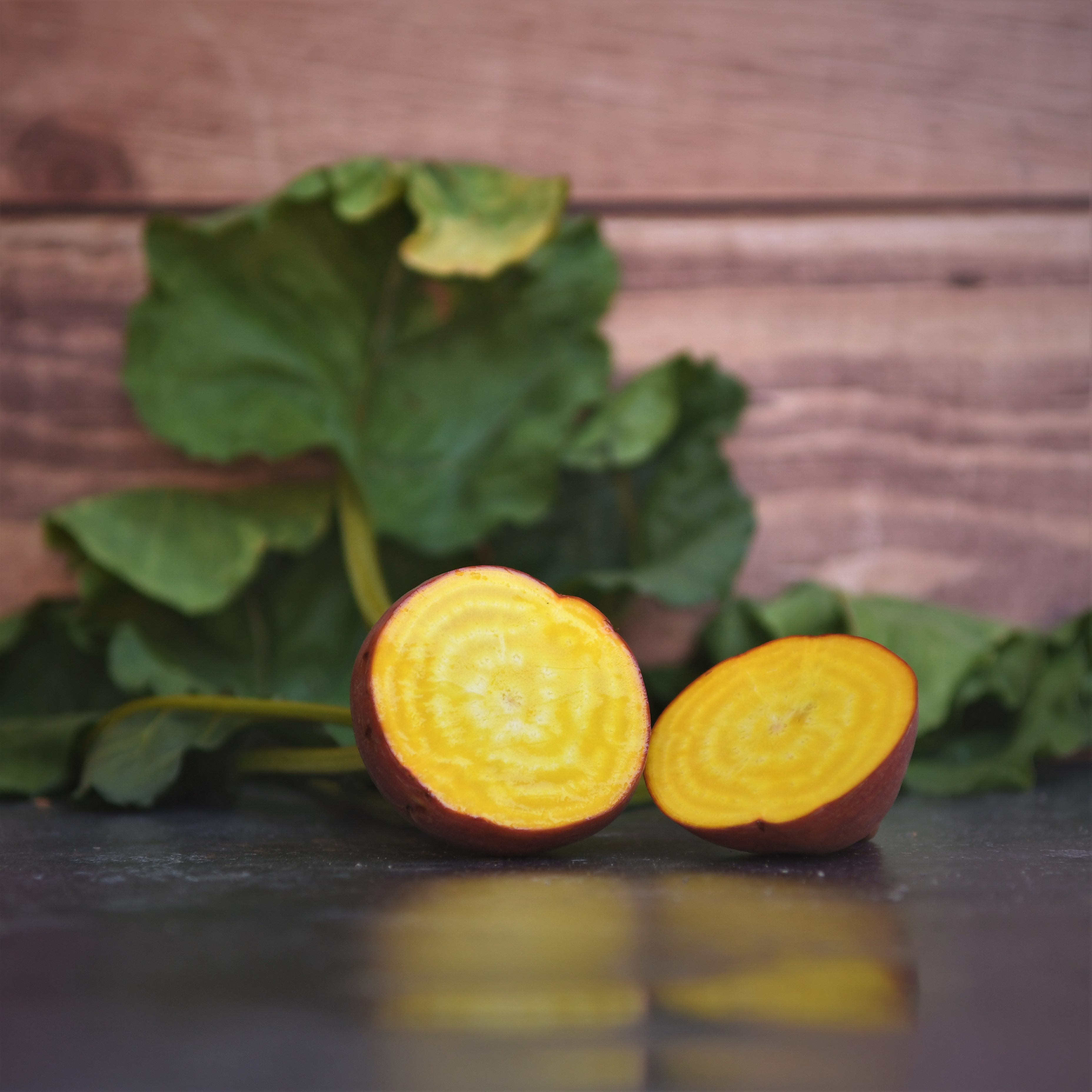 Graines bio de Betterave rouge Golden