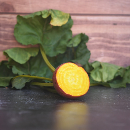 Graines bio de Betterave rouge Golden