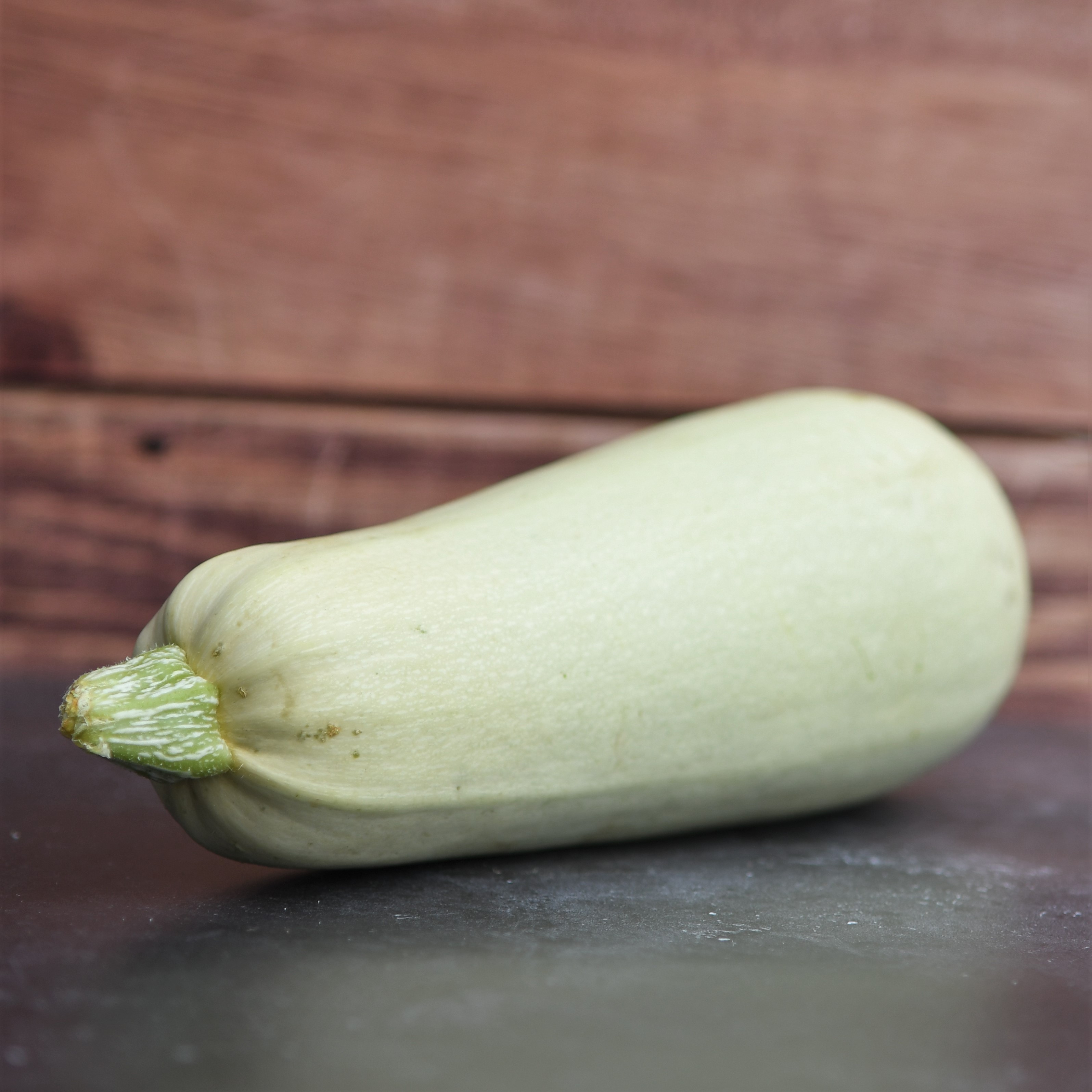Graines bio de Courgette blanche d'Egypte