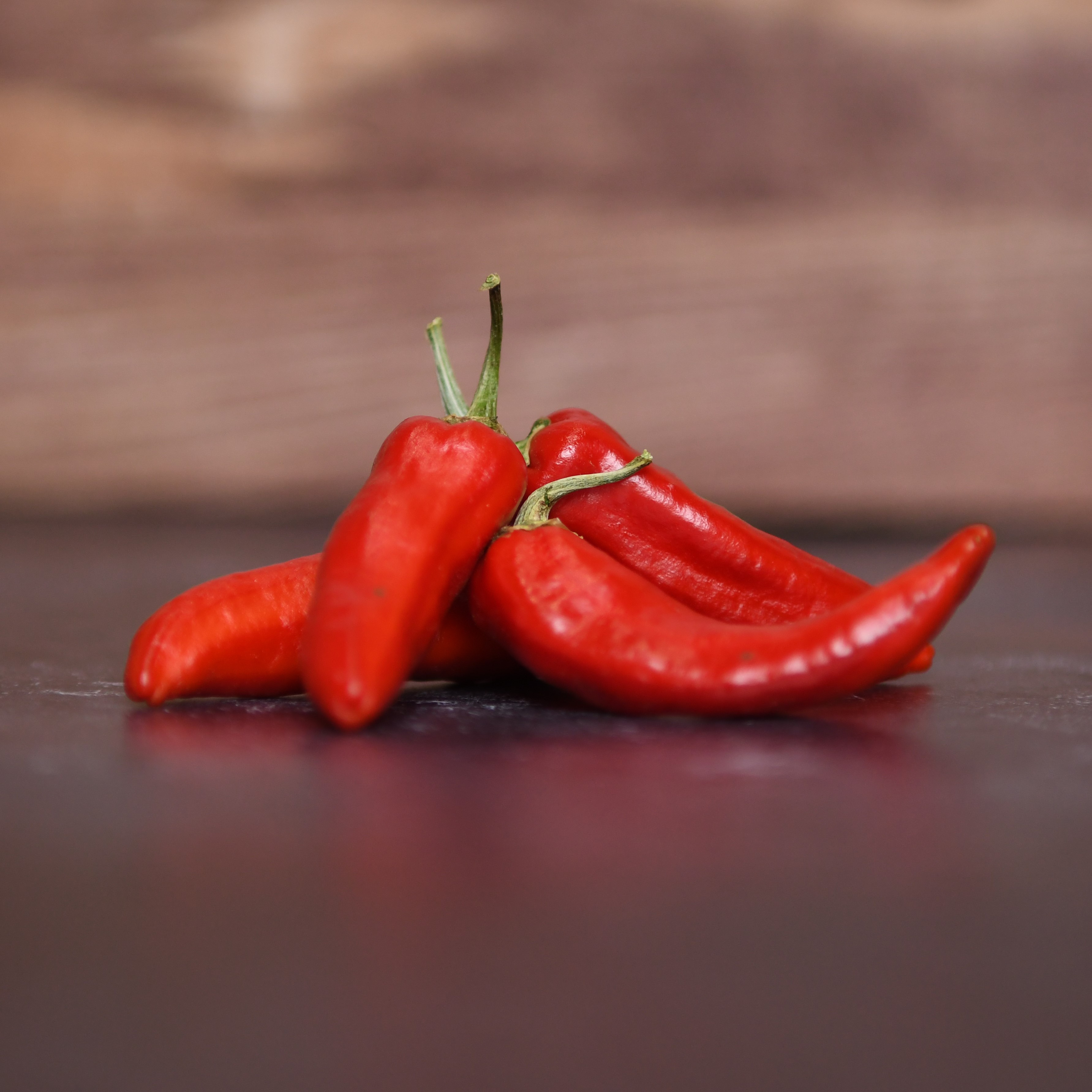Graines bio de Piment Fish Pepper
