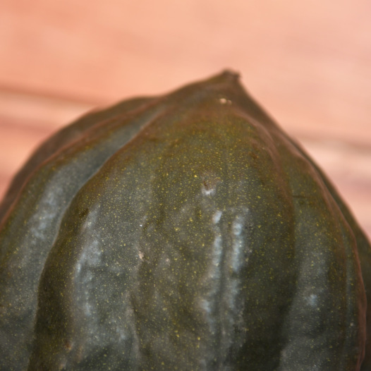 Graines bio de Courge Royal Acorn