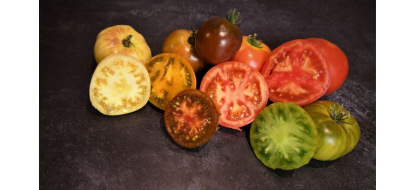 Choisir ses légumes à semer