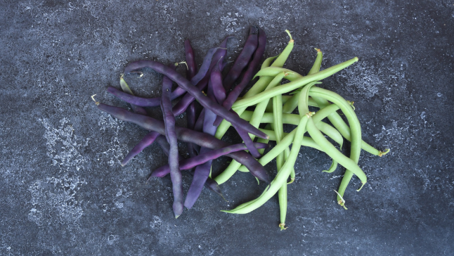 Comment choisir ses variétés de haricots bio