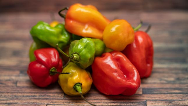 Réussir la culture des poivrons et piments: conseils et astuces