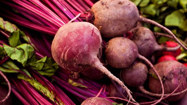 Bieten kweken | van zaaien tot oogsten