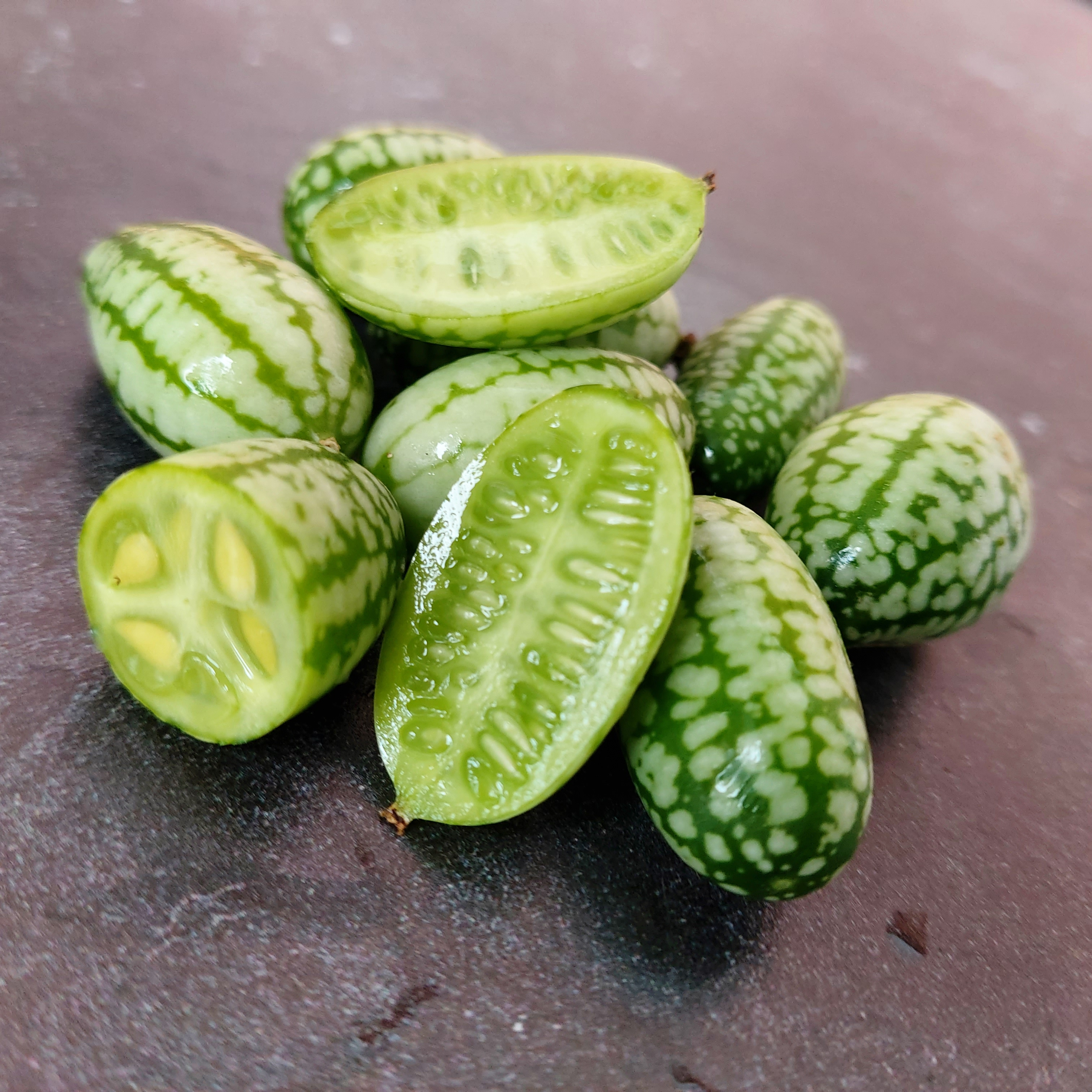 Graines bio de Concombre à confire Mélothérie