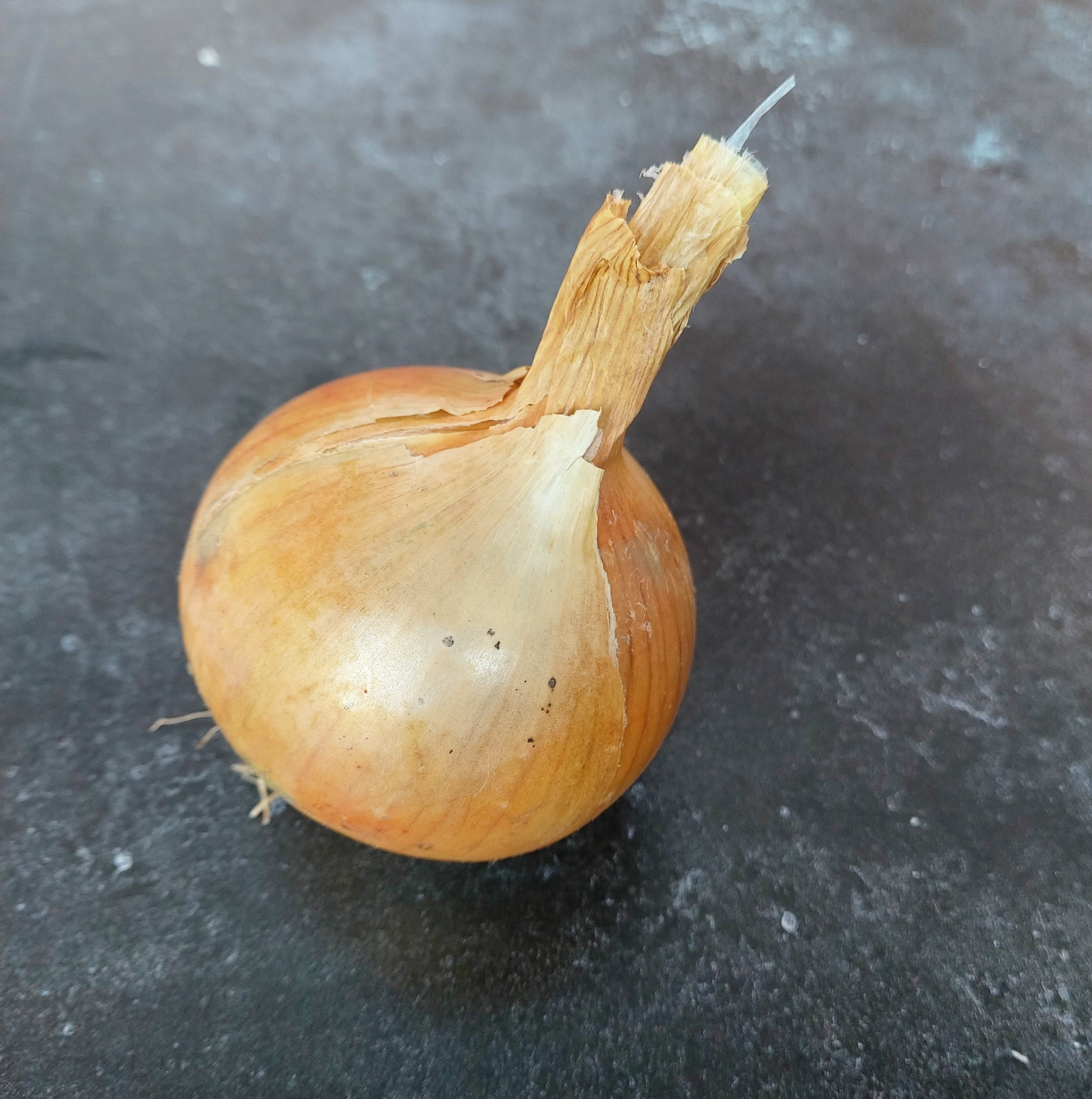 Bio Pootajuin Sturon - 1kg