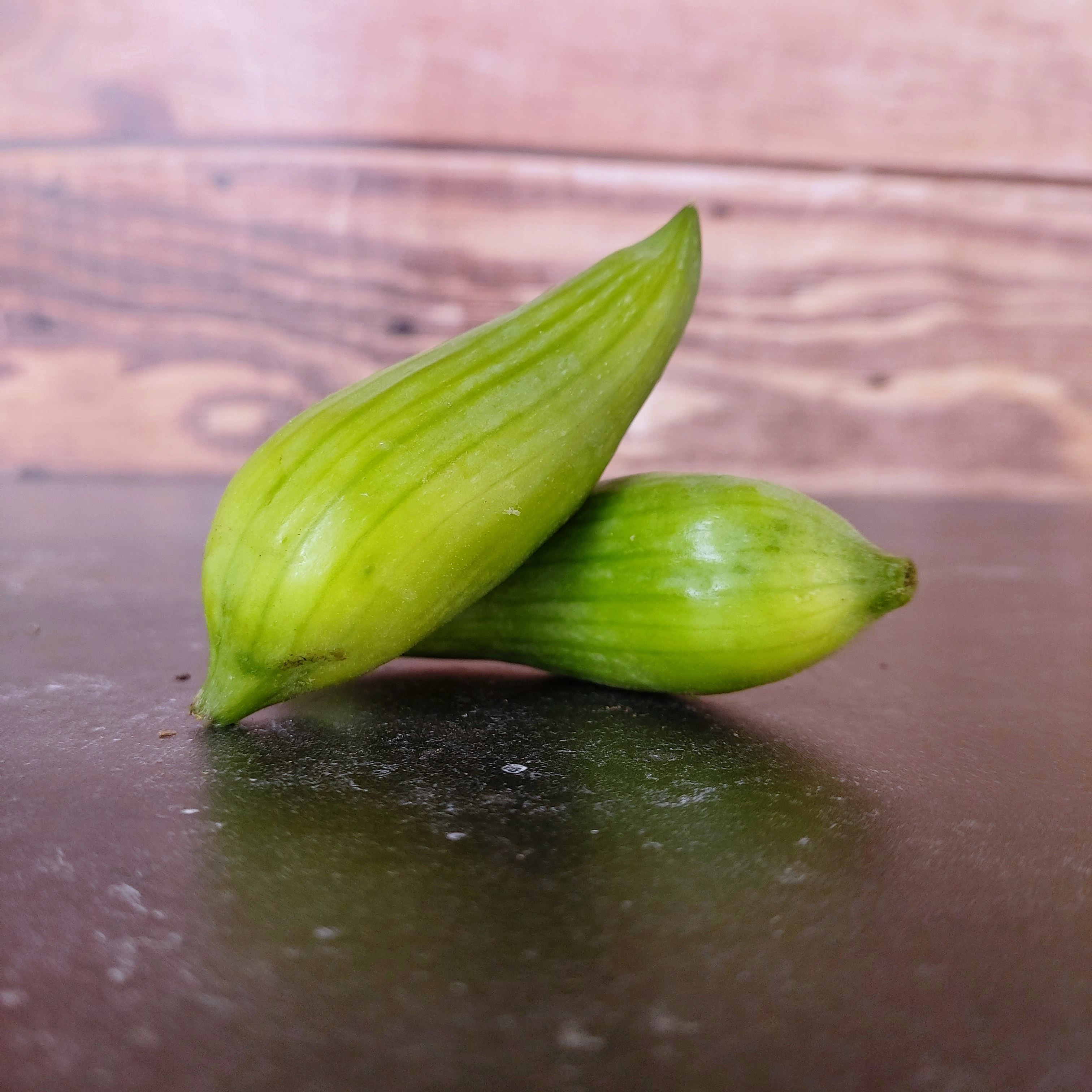 Semences bio de Cyclanthère ou concombre grimpant