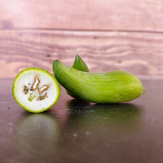 Semences bio de Cyclanthère ou concombre grimpant