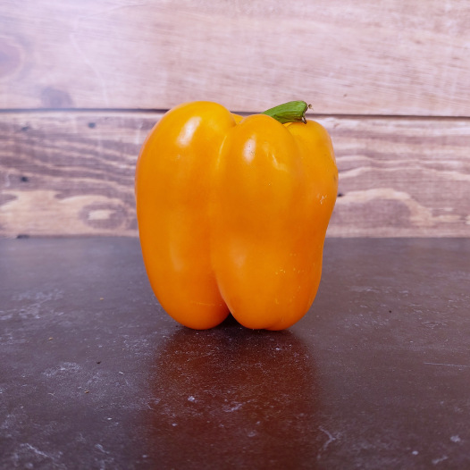 graines bio de poivron Ariane