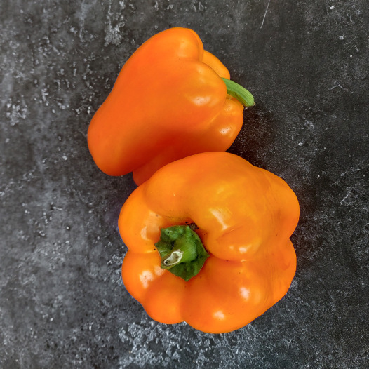graines bio de poivron Ariane