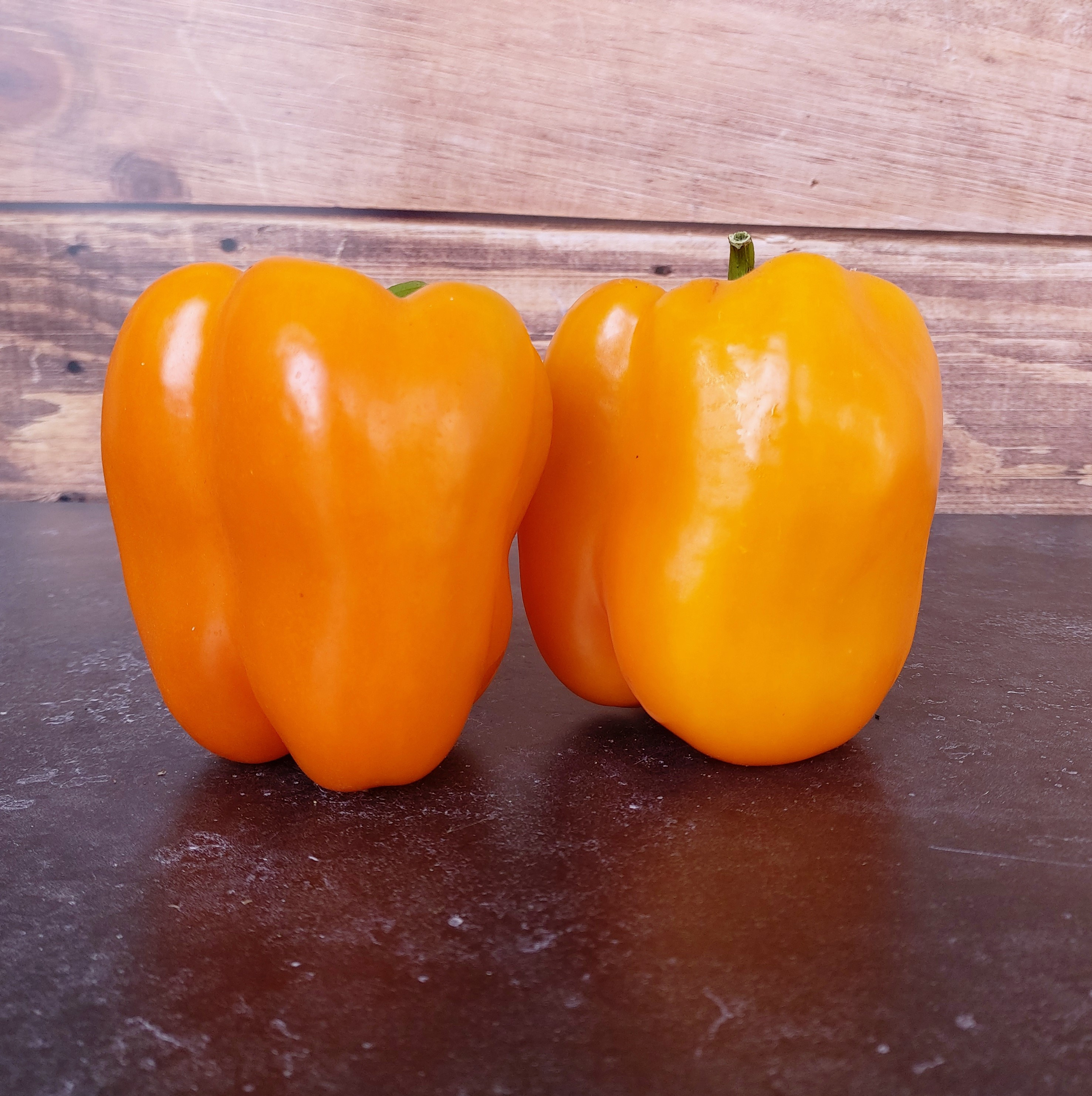 graines bio de poivron Ariane