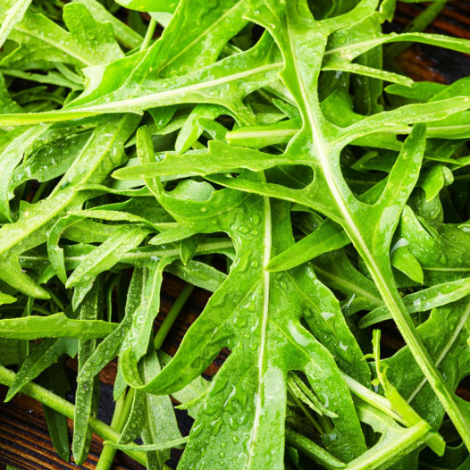 Bio zaden van Rucola wild