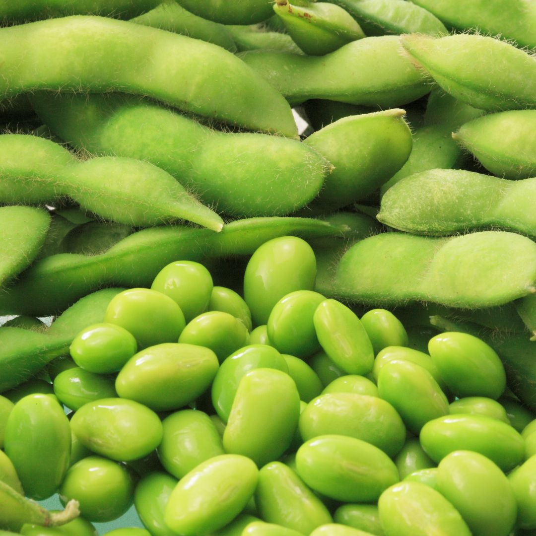 Biologische zaden van Soja gele bonen (Edamame)