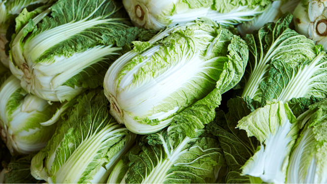 Le chou chinois | variétés, conseils et recettes | Semailles