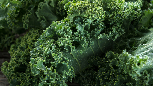 Le chou Kale ou chou frisé : un légume plein de bienfaits
