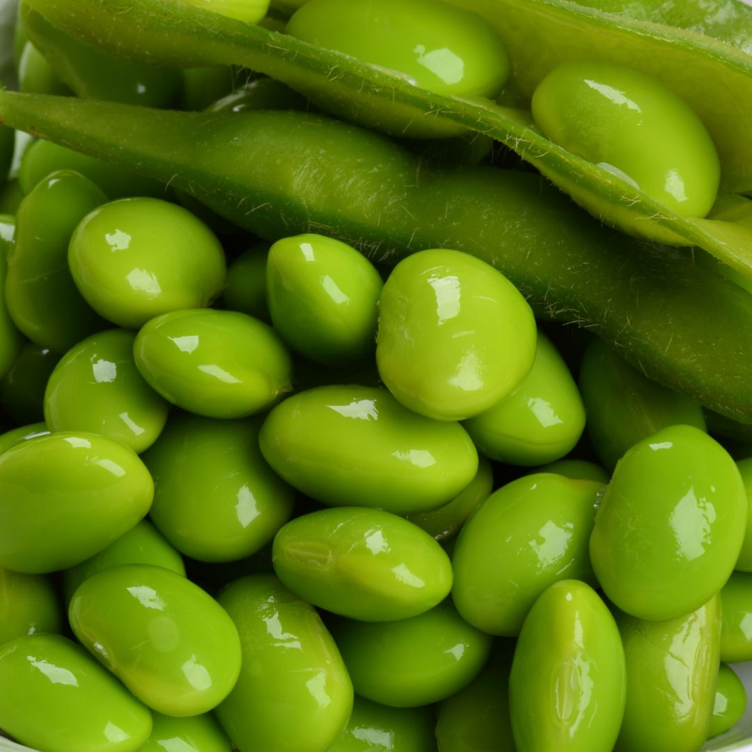 Soja Edamame Chiba Green | Semences bio et reproductibles | Semailles