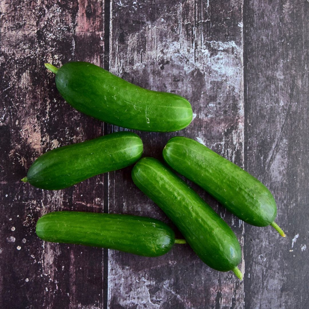 Concombre Kaban (snack) | Semences bio et reproductibles | Semailles