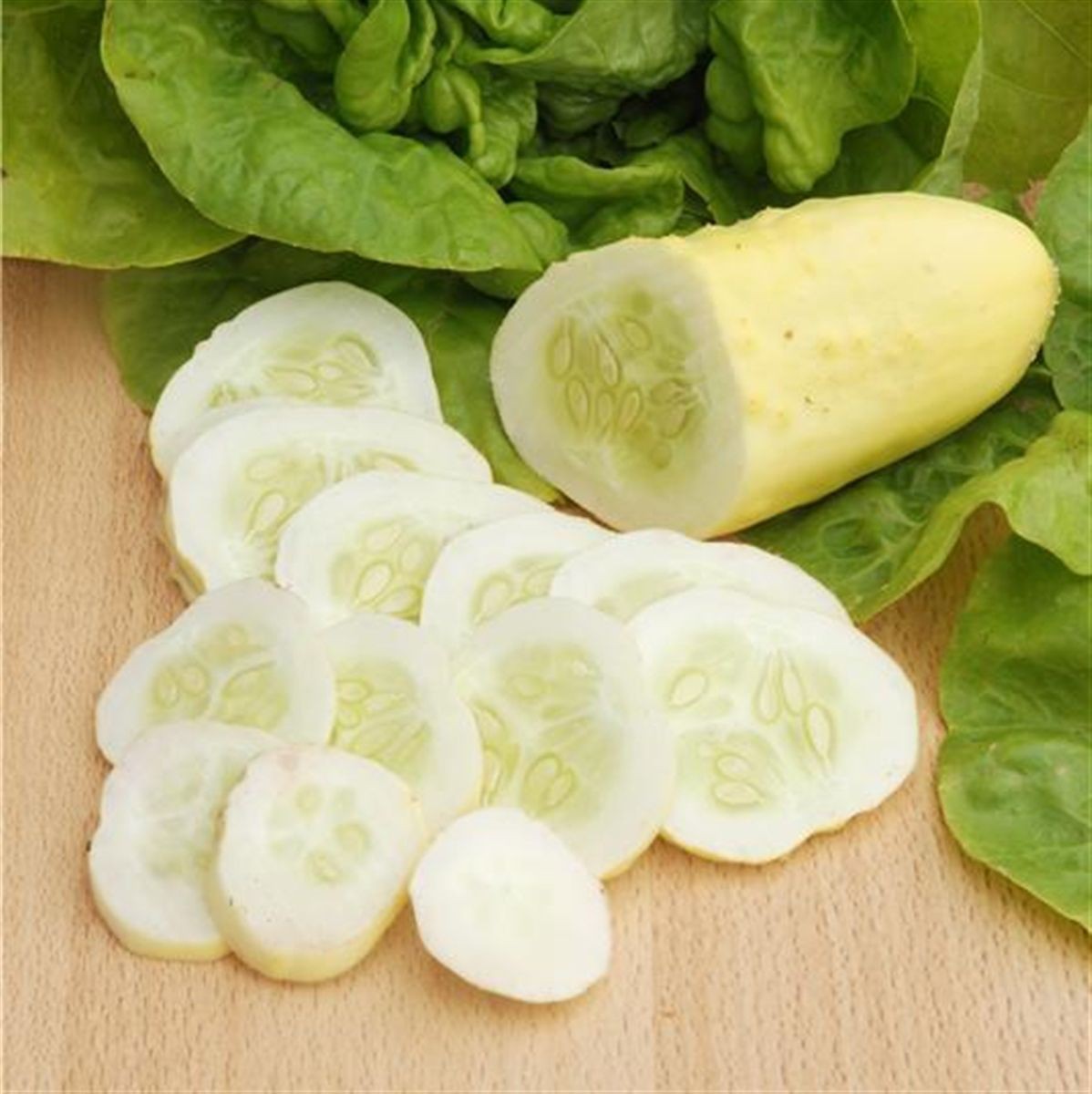 Bio zaden van Witte Komkommer "Long Parisien"