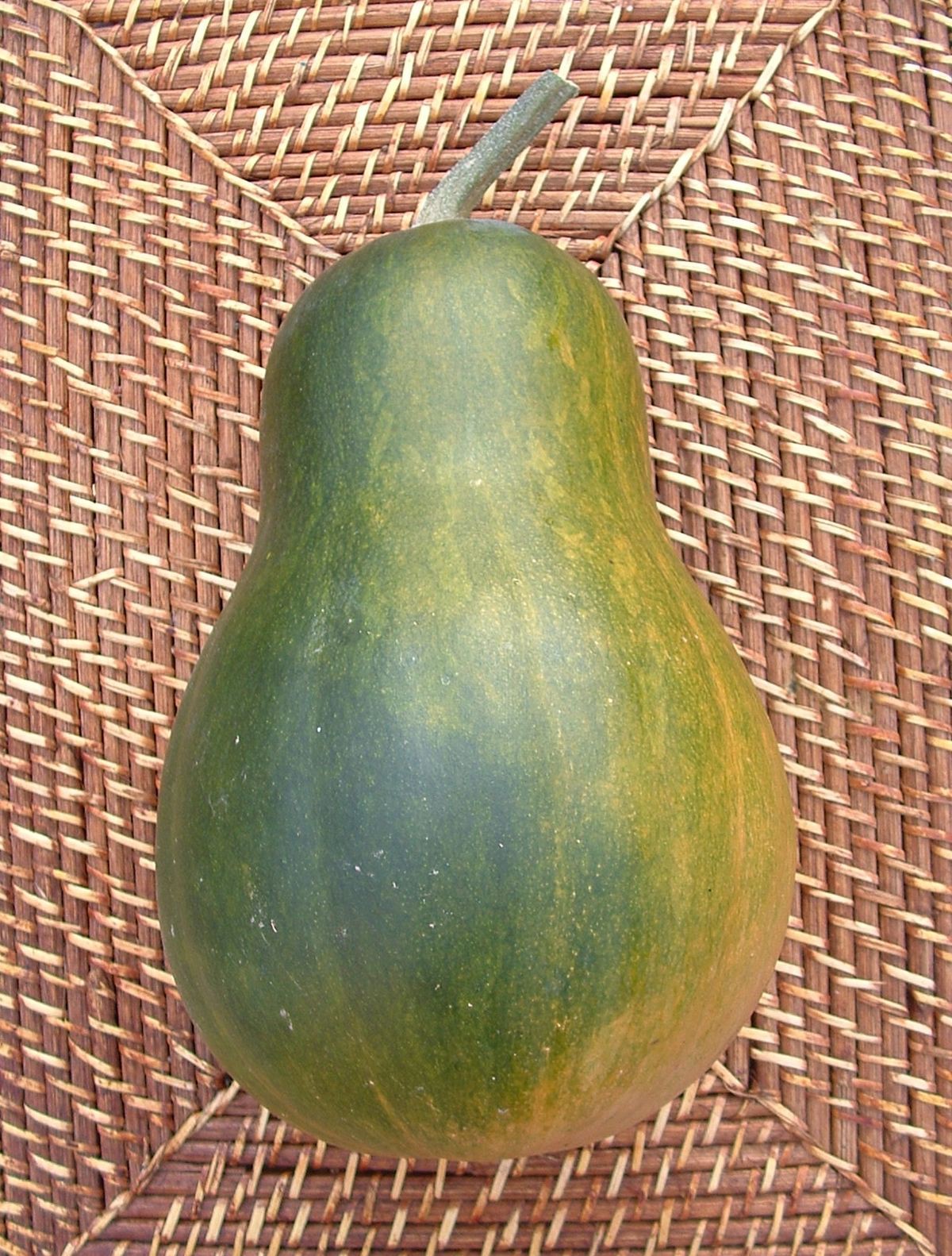 Graines bio de Courge musquée Sucrine du Berry