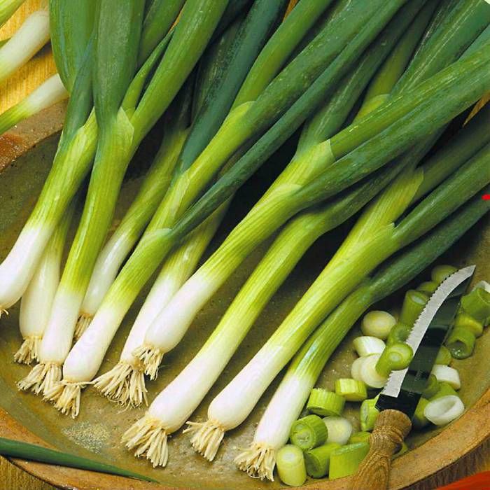 Biologische zaden van Ajuin Ishikura Long White