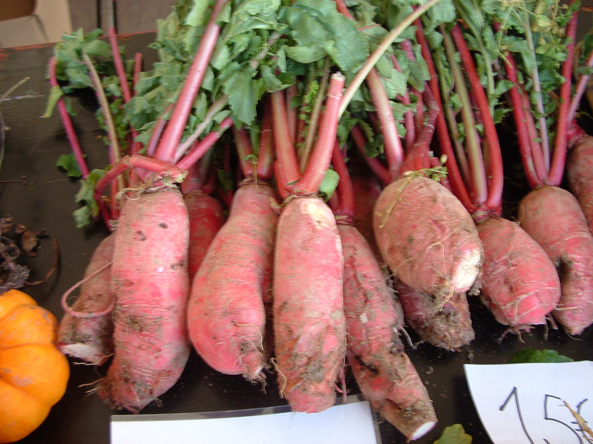 Winterradijs Rose de Chine