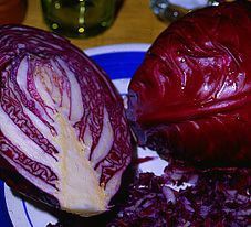 Semences bio de Chou cabus rouge Rodynda