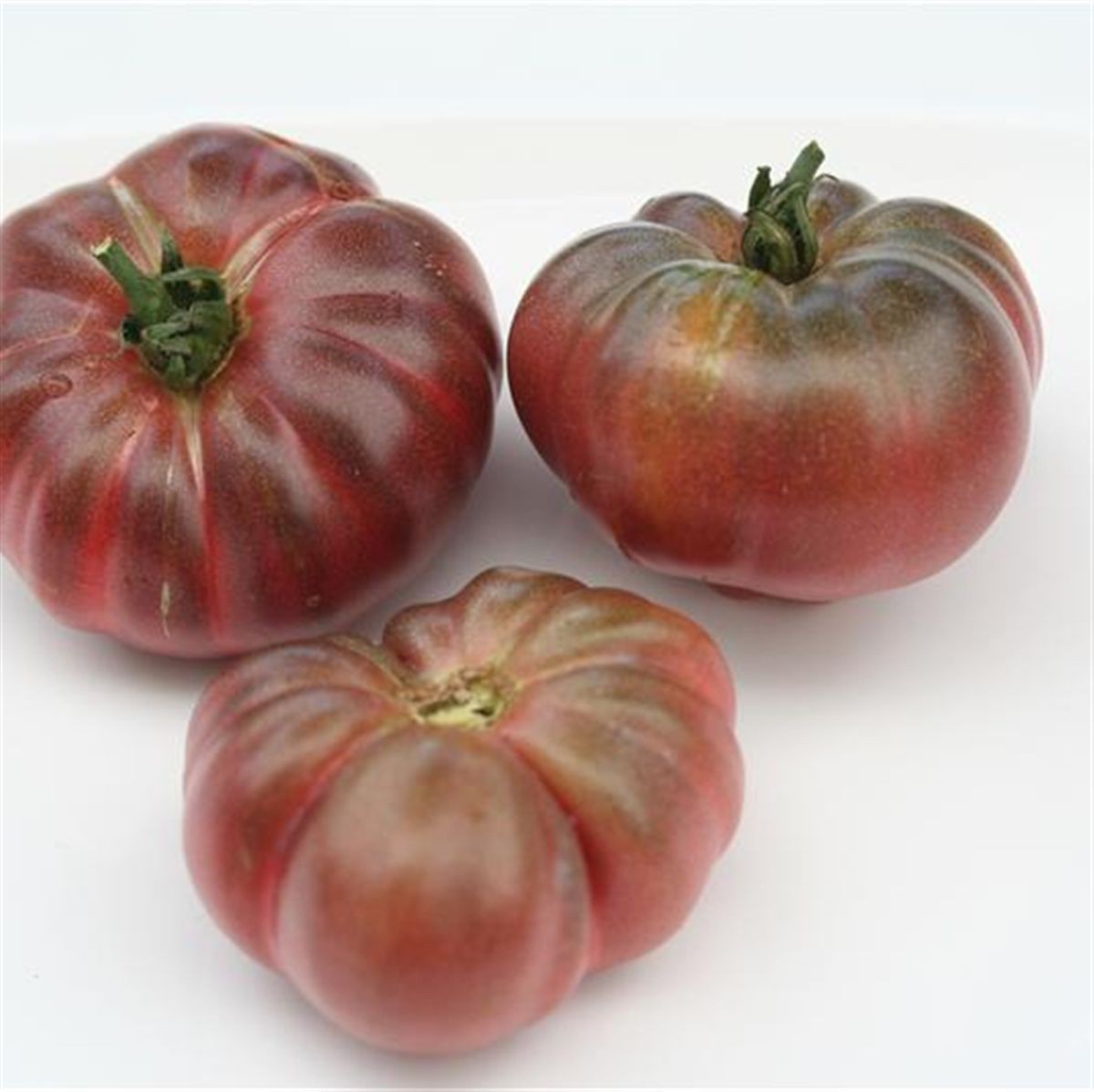 Graines bio de Tomate Purple Calabash