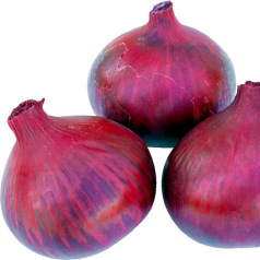 Biologische zaden van Ajuin Ishikura Long White