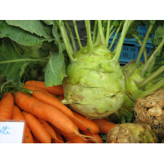 Graines bio de Chou rave Délikatess bleu