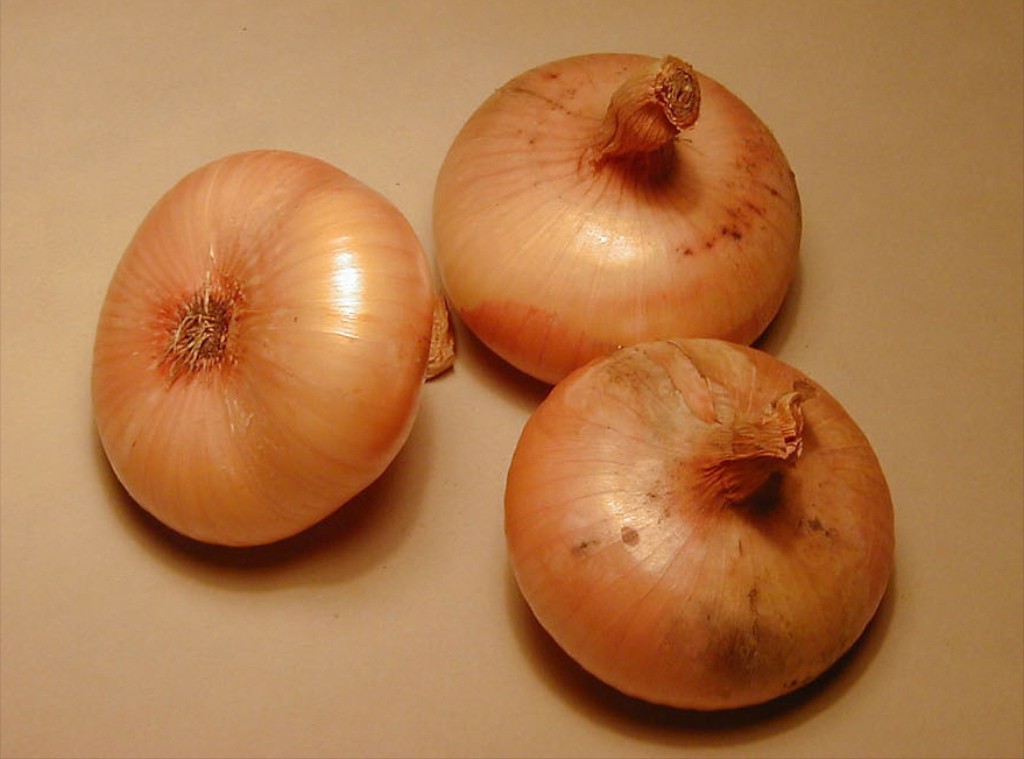 Bio zaden van Ajuin Jaune paille des Vertus