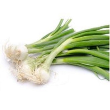 Bio en reproduceerbare ajuin zaad