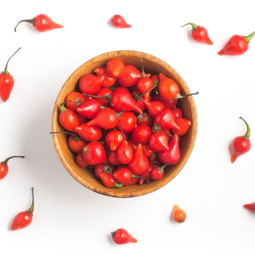 Semences bio de Piment Biquinho Rouge