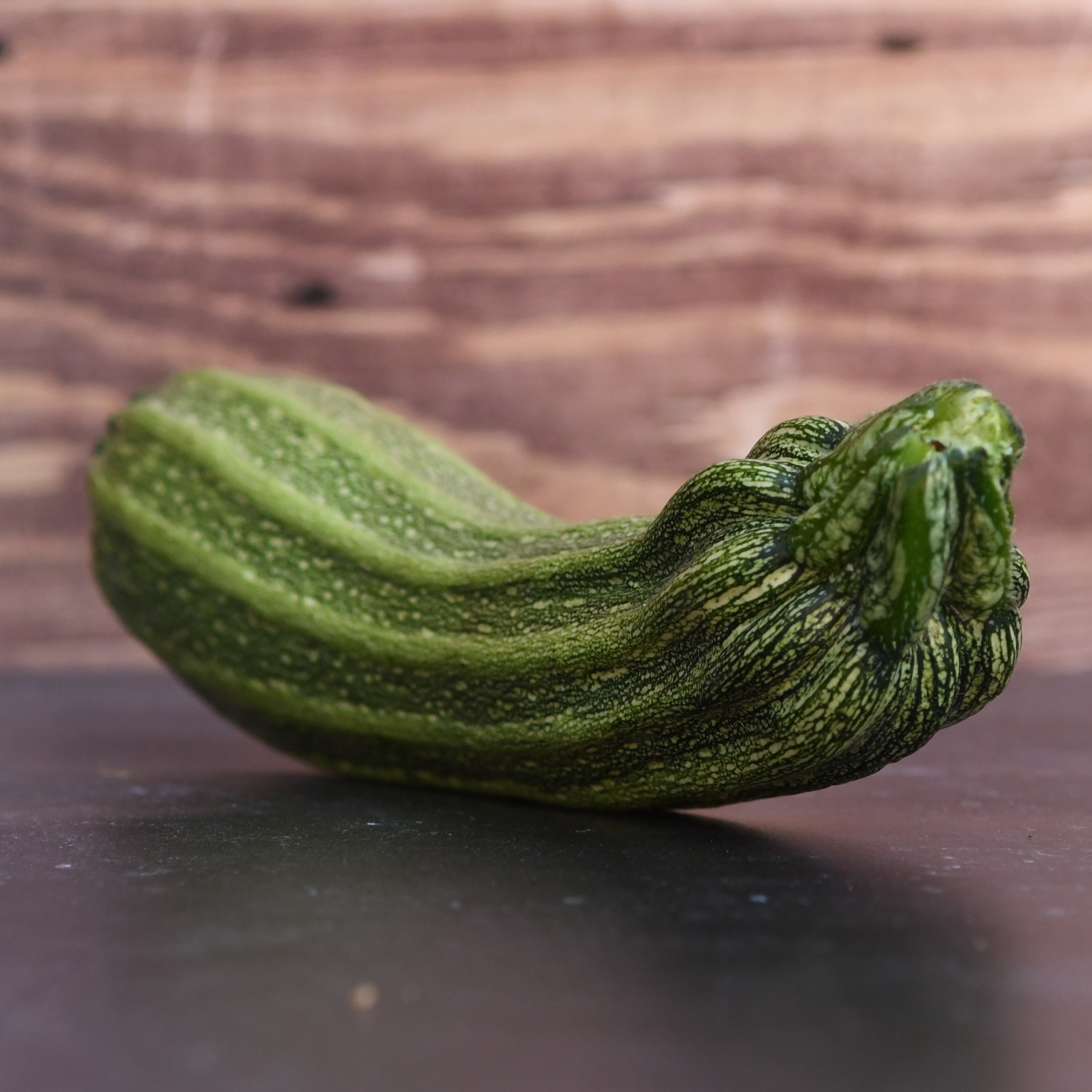 Semences bio de Courgette Costata Romanesco