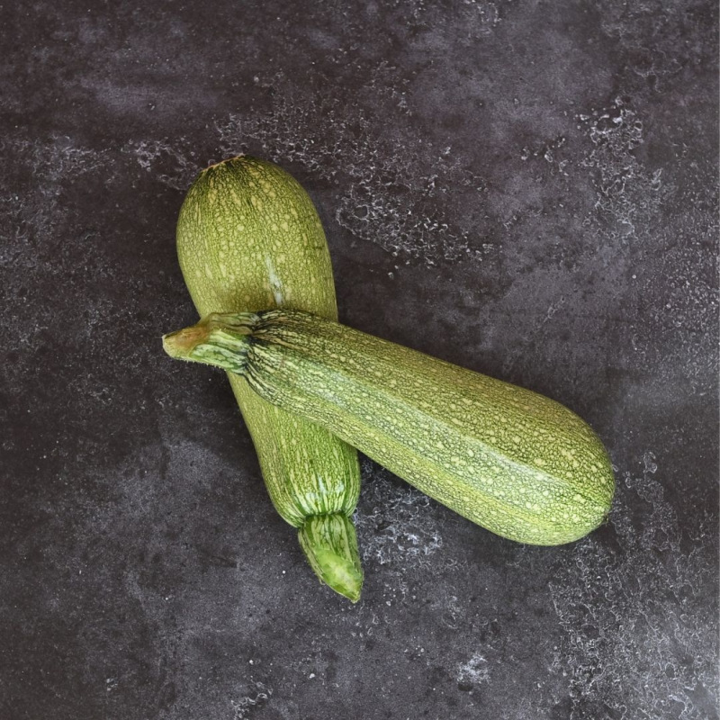 Graines bio de Courgette Petite Grise d'Alger
